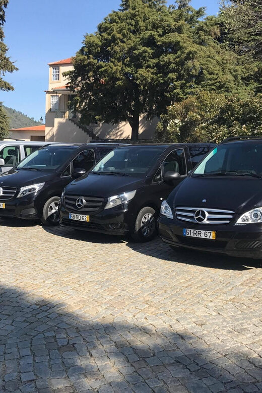 From Porto: Premium Douro Valley Small-Group Wine Tour - Experience the Best of Douro Valley Wine with a Small-Group Tour from Porto