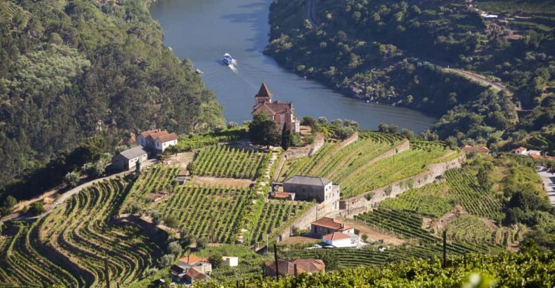 From Porto: Premium Douro Valley Small-Group Wine Tour - A Detailed Look at the Douro Valley Small-Group Tour