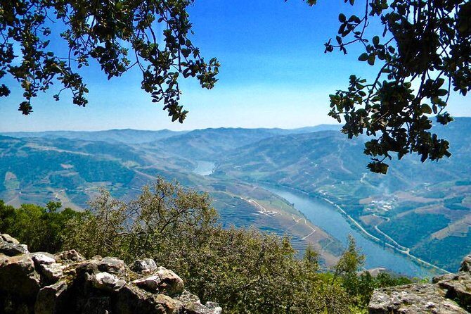 From Porto: Private Douro Valley Tour - The Journey through the Douro Valley
