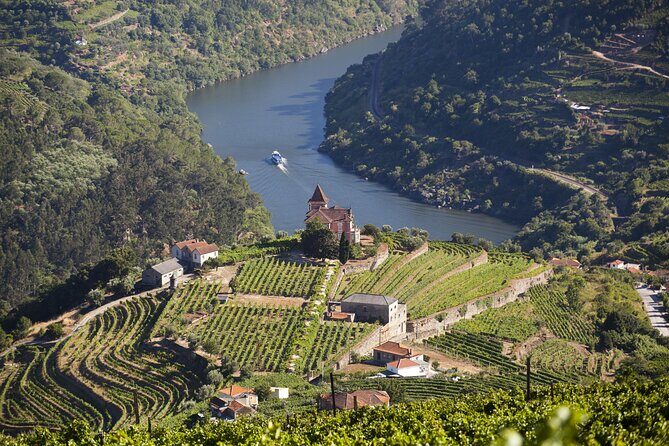 From Porto: Private Douro Valley Tour - What People Are Saying