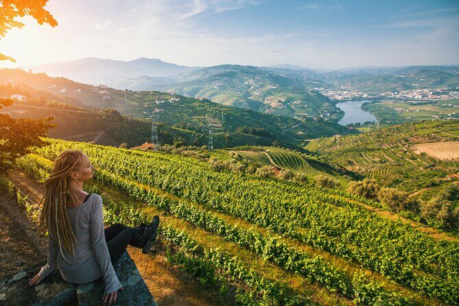 From Porto: Private Douro Valley Tour - The Sum Up