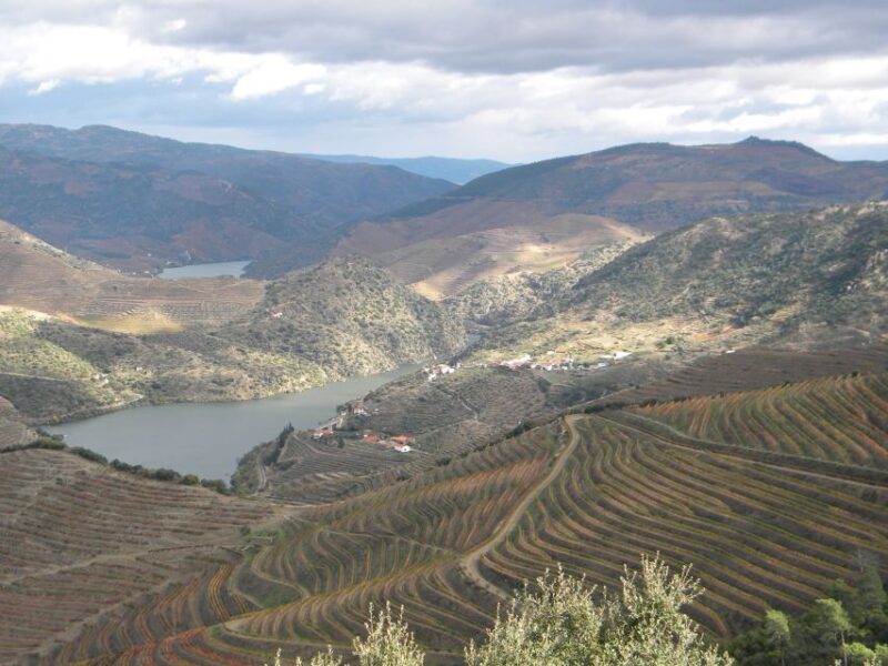 From Porto: Private Douro Valley Tour with Booking Service - Overall Experience: What Travelers Can Expect