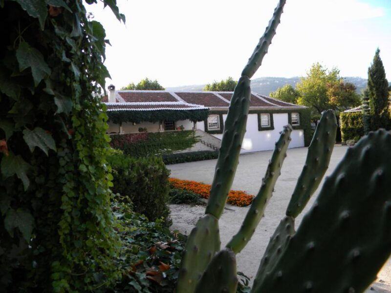 From Porto: Private Douro Valley Tour with Booking Service - Who Will Love This Tour?