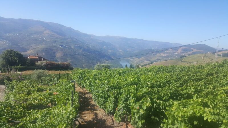 From Porto: Private Douro Valley Tour with Booking Service - FAQ