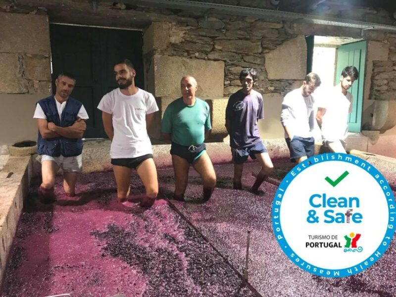 From Porto: Private Douro Valley Tour with Cruise and Wine - The Sum Up