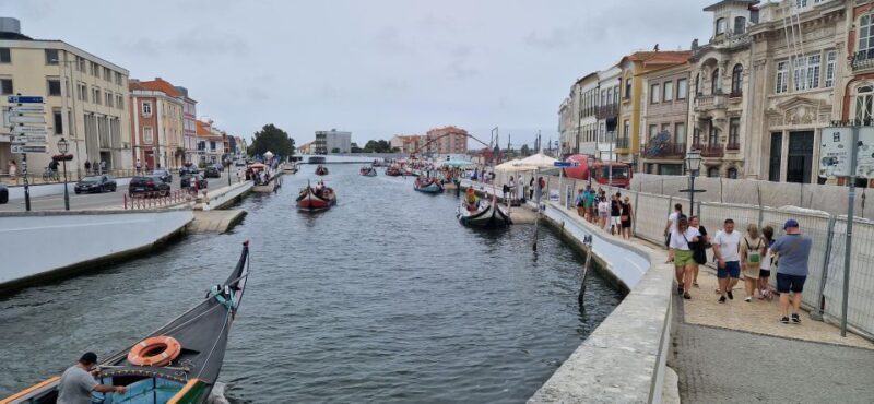From Porto Private Tour Half Day in Aveiro and Costa Nova - Analyzing the Value and Practicalities