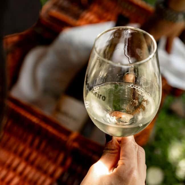 From Porto: Private Vinho Verde wine tour with tasting, lunch, and palace visit. - A Deep Dive into the Experience