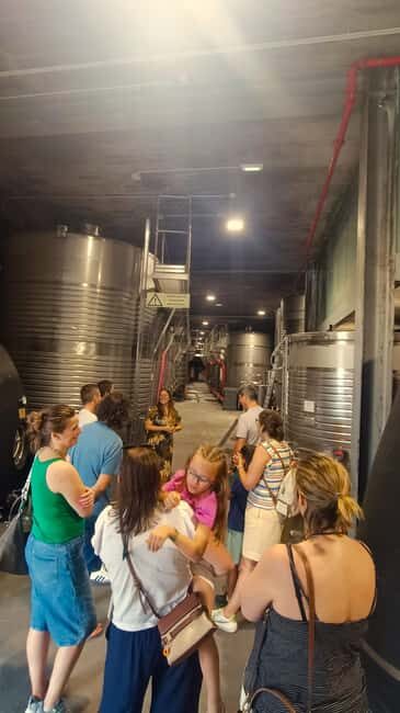 From Porto: Private Vinho Verde wine tour with tasting, lunch, and palace visit. - Final Thoughts