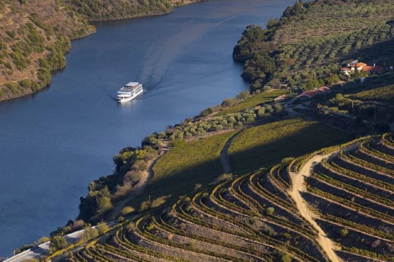 From Porto: Régua to Porto River Cruise with Lunch on Board - The Value of the Tour