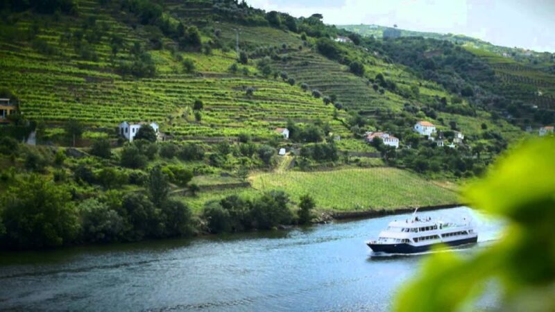 From Porto: Régua to Porto River Cruise with Lunch on Board - Who Will Love This Tour?