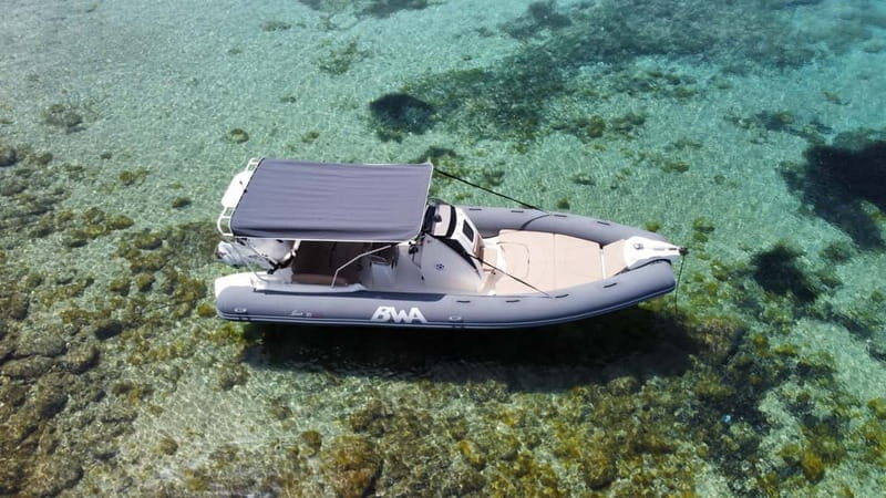 From Porto Rotondo: dinghy snorkeling tour with dolphin sighting - Key Points