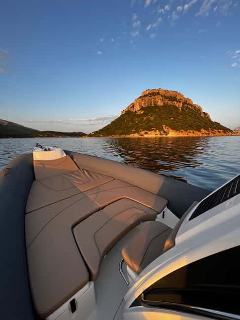From Porto Rotondo: dinghy snorkeling tour with dolphin sighting - The Sum Up