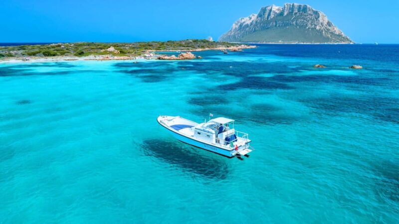 From Porto San Paolo: 4-hour boat tour to Tavolara - The Itinerary: What You Can Expect