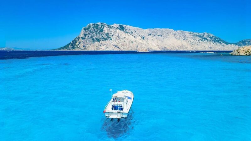 From Porto San Paolo: 4-hour boat tour to Tavolara - Who Should Consider This Tour?
