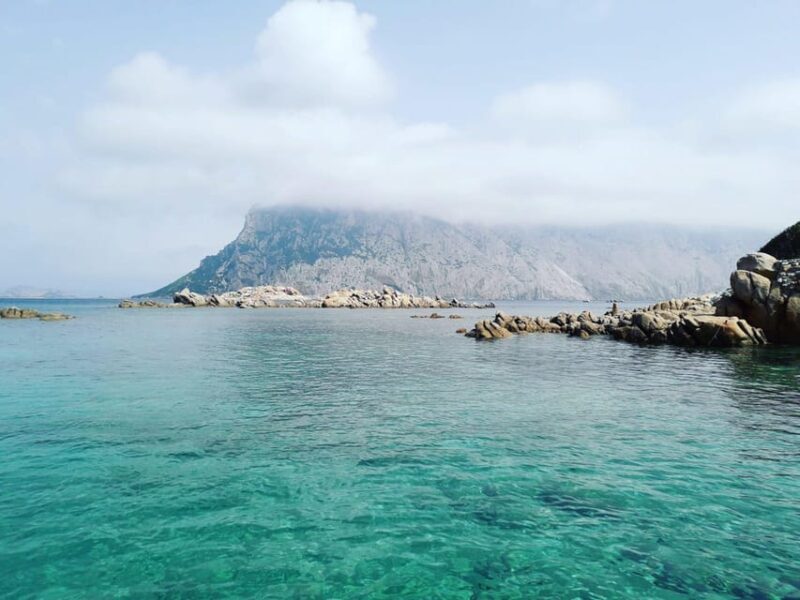 From Porto San Paolo: 4-hour boat tour to Tavolara - The Value: Is It Worth It?