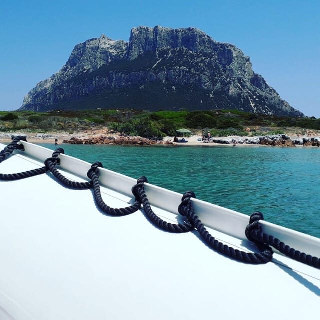 From Porto San Paolo: 4-hour boat tour to Tavolara - FAQ