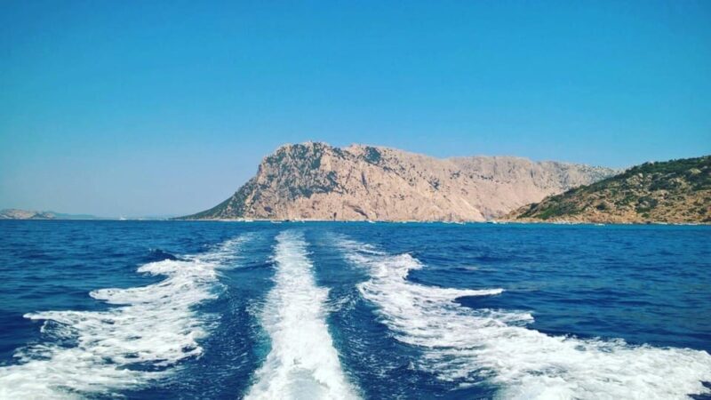 From Porto San Paolo: 4-hour boat tour to Tavolara - Final Takeaway