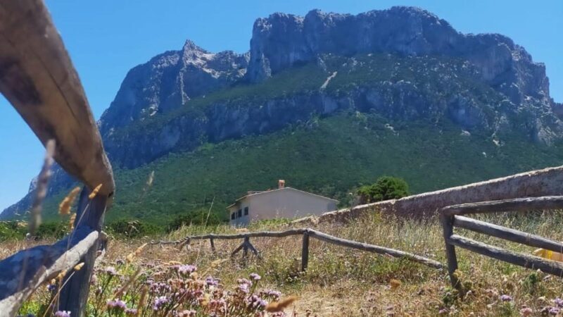 From Porto San Paolo: coastal trekking around Tavolara - Key Points