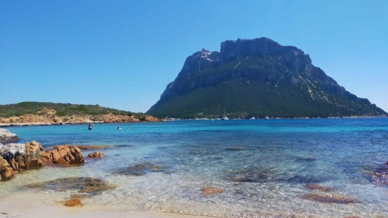 From Porto San Paolo: coastal trekking around Tavolara - Authenticity, Value, and Practical Considerations