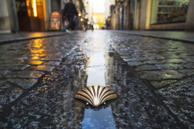 From Porto: Santiago de Compostela Full Day Tour - Key Points