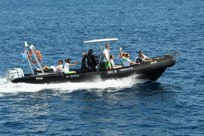 From Porto: Scandola and Calanche de Piana Boat Tour - A Closer Look at the Experience