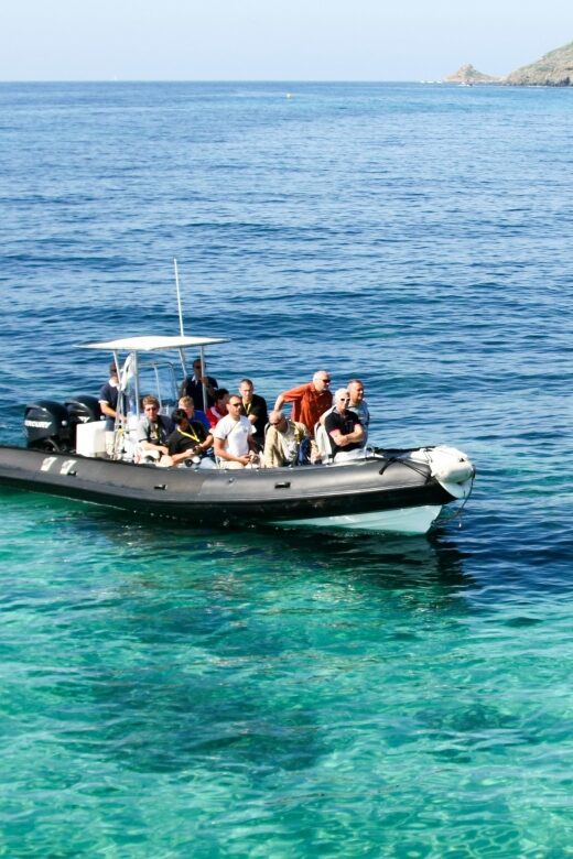 From Porto: Scandola and Calanche de Piana Boat Tour - Who Will Love This Tour?