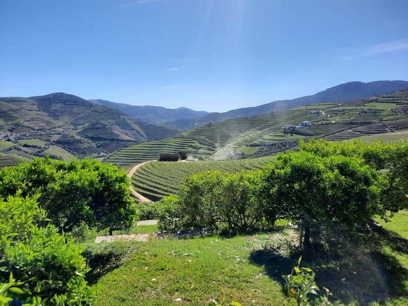 From Porto: small-group guided tour of the Douro Valley and Gerês - Explore Portugal’s Hidden Gems: A 2-Day Guided Tour of Gerês and the Douro Valley