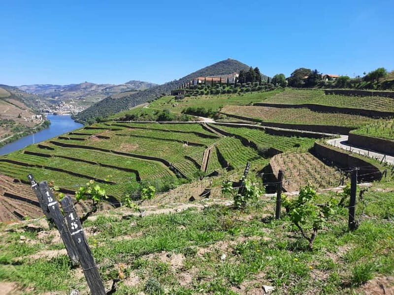 From Porto: small-group guided tour of the Douro Valley and Gerês - FAQs About the Gerês and Douro Valley Tour