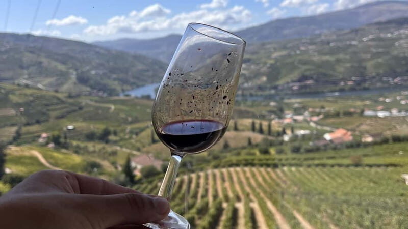 From Porto: Tastings at 2 Wineries, Chef's Lunch & Boat Tour - Farm-to-Table Regional Lunch