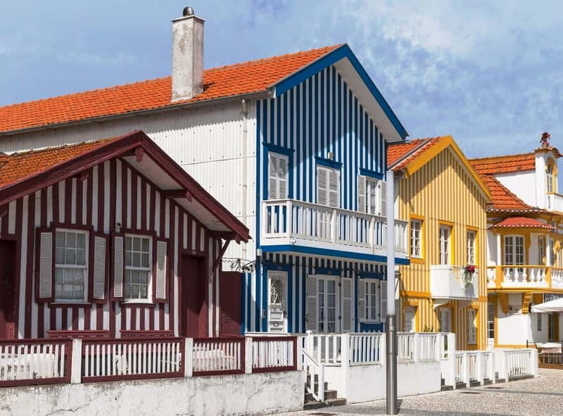 From Porto to Aveiro: Cruise, Aves, Salinas, Costa Nova, and Vista Alegre - Who Is This Tour Best Suited For?