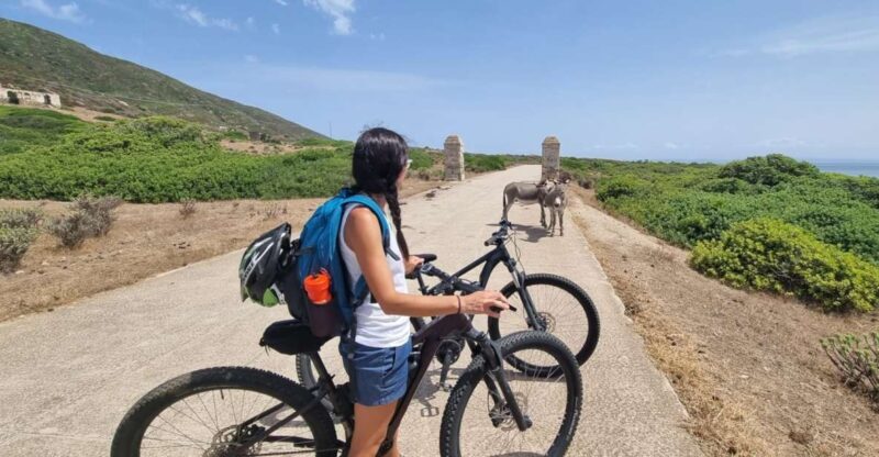 From Porto Torres: E-Bike Rental - The Freedom to Discover: Create Your Own Itinerary