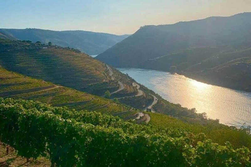 From Porto: Valle del Duero Full-Day Private Tour - Key Points