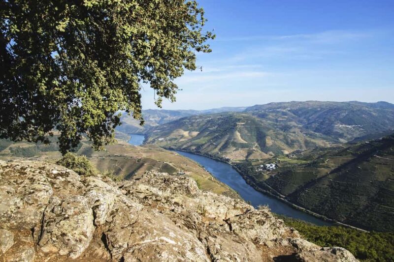 From Porto: Wine Tasting with Lunch at a Farm and Cruise - Practical Considerations for Travelers