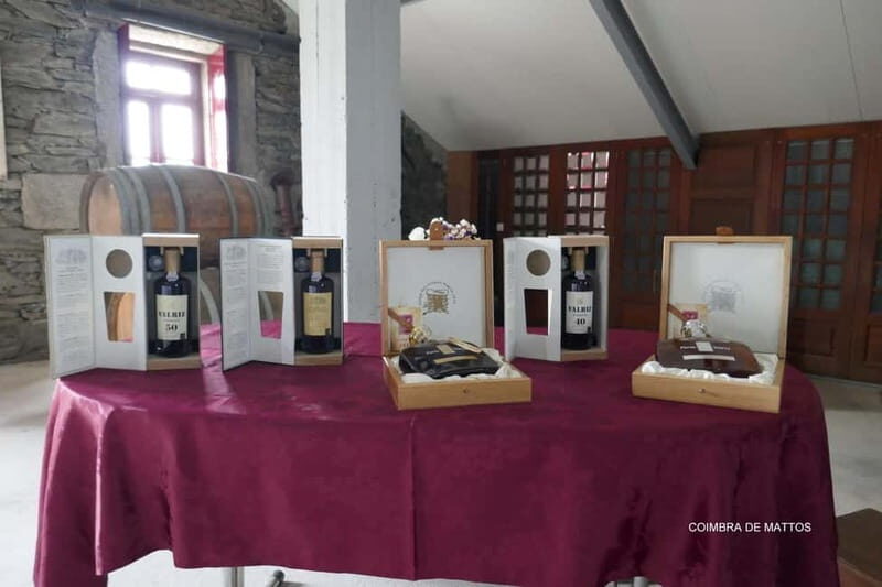From Porto: Wine Tasting with Lunch at a Quinta, Cruise, and Train Ride - Final Thoughts