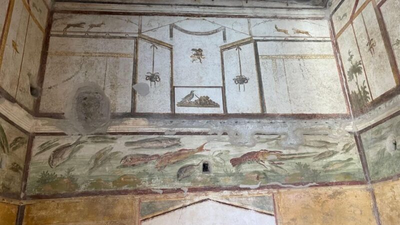 From Positano: Pompeii, Vesuvius, & Wine Tasting with Lunch - Key Points