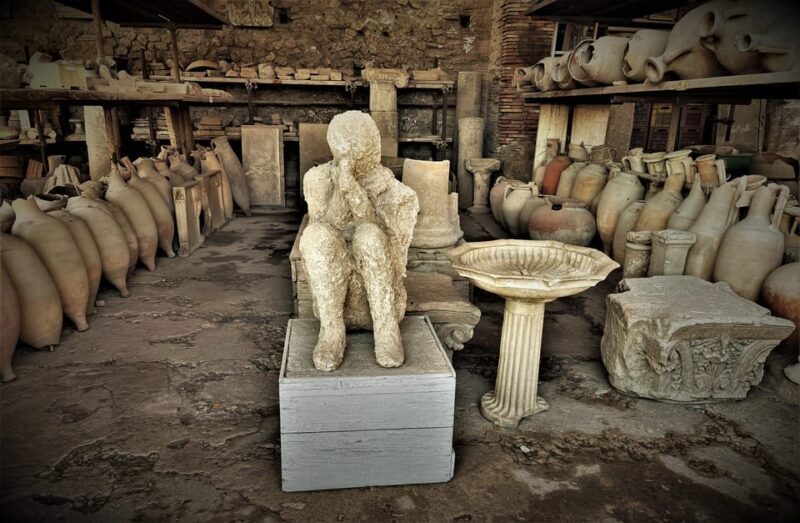 From Positano: Pompeii & Wine Tasting with Lunch - Analyzing the Value: Price vs. Experience