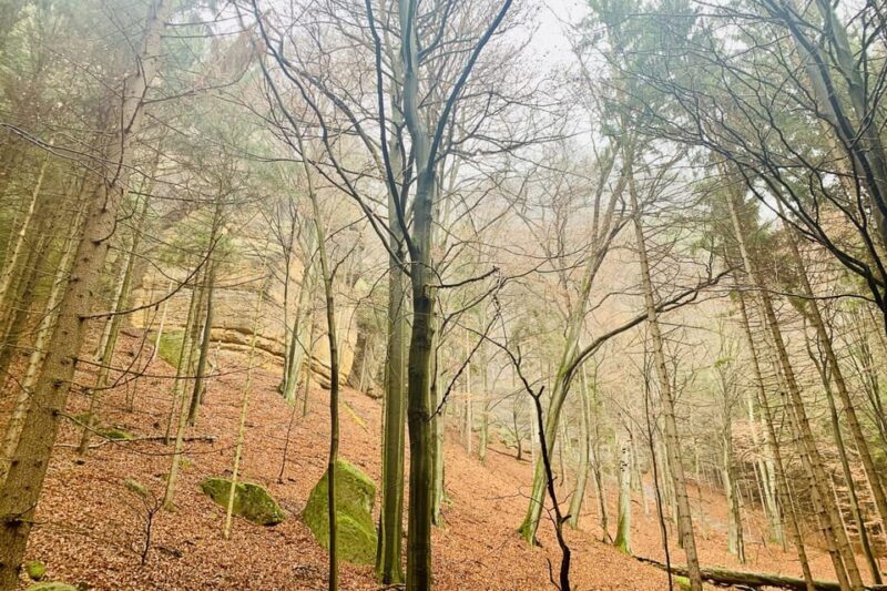 From Prague: Bohemian and Saxon Switzerland Full-Day Tour - FAQs