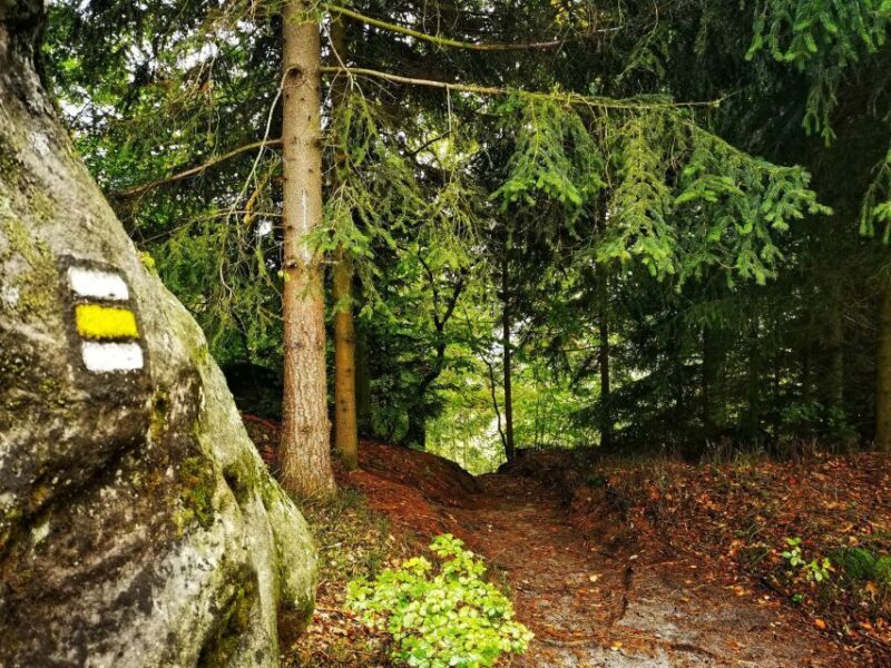 From Prague: Bohemian Paradise - Full-Day Hiking Trip - The Itinerary in Detail