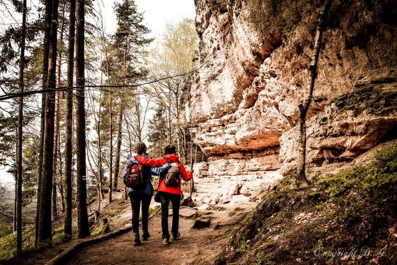 From Prague: Bohemian & Saxon Switzerland All-Inclusive Tour - Final Thoughts