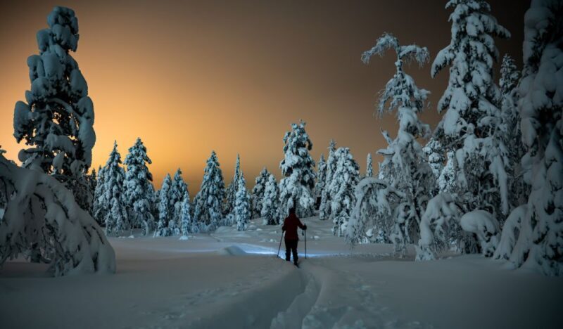 From Prague: Guided Snowshoe Tour with Mountain Views - Key Points