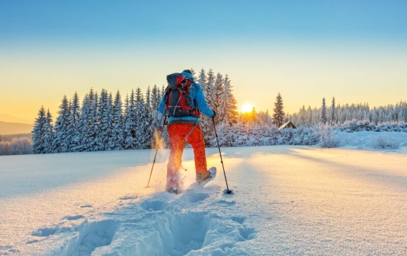 From Prague: Guided Snowshoe Tour with Mountain Views - The Value of the Trip