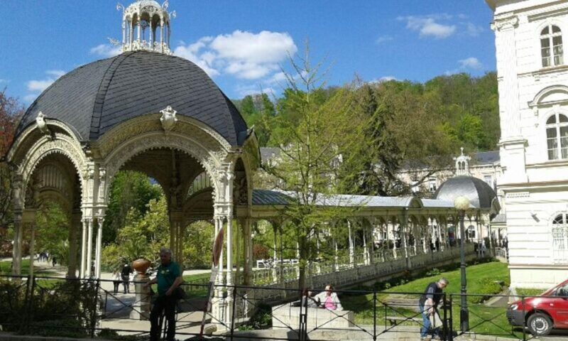 From Prague: Karlovy Vary Full-Day Tour - Lunch and Amenities