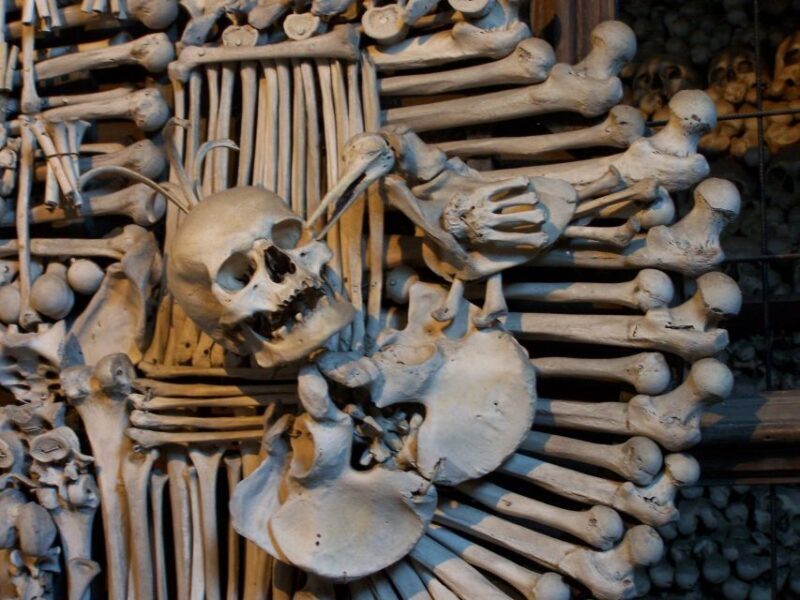 From Prague: Kutná Hora Day Excursion with Bone Church - Who Is This Tour Best For?