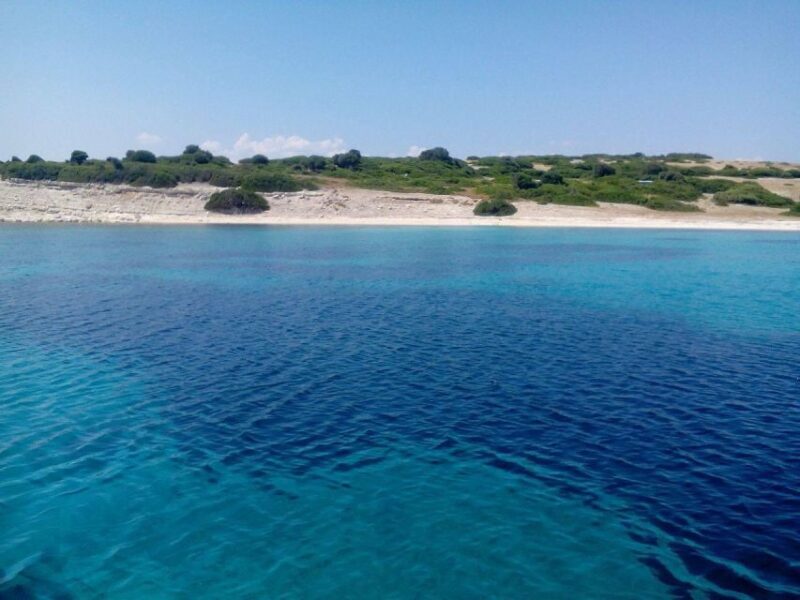 From Pretra or Molyvos: Lesvos Cruise with BBQ - Who Should Consider This Tour?