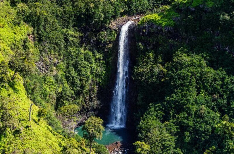 From Princeville: Discover Kauai Helicopter Tour - An Enthusiastic Look at What to Expect