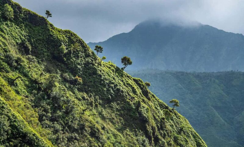 From Princeville: Discover Kauai Helicopter Tour - Practical Details