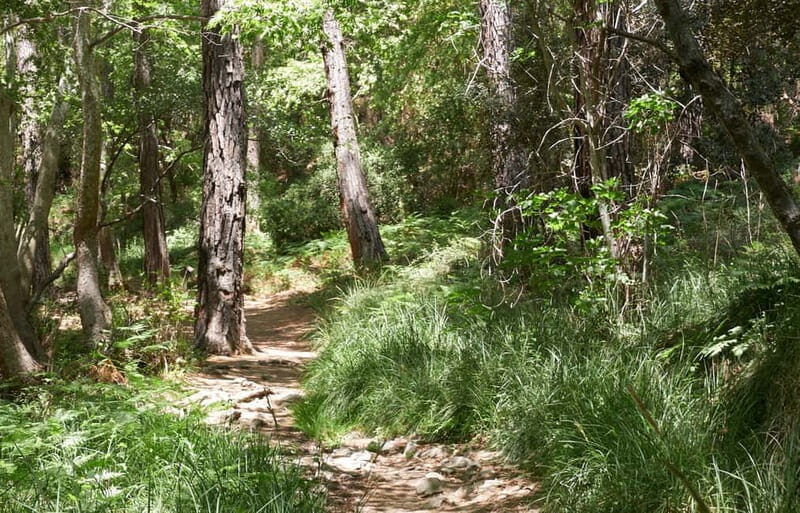 From Protaras: Full-Day Grand tour Jeep Safari with Lunch - Off-Road Driving and Scenic Rides