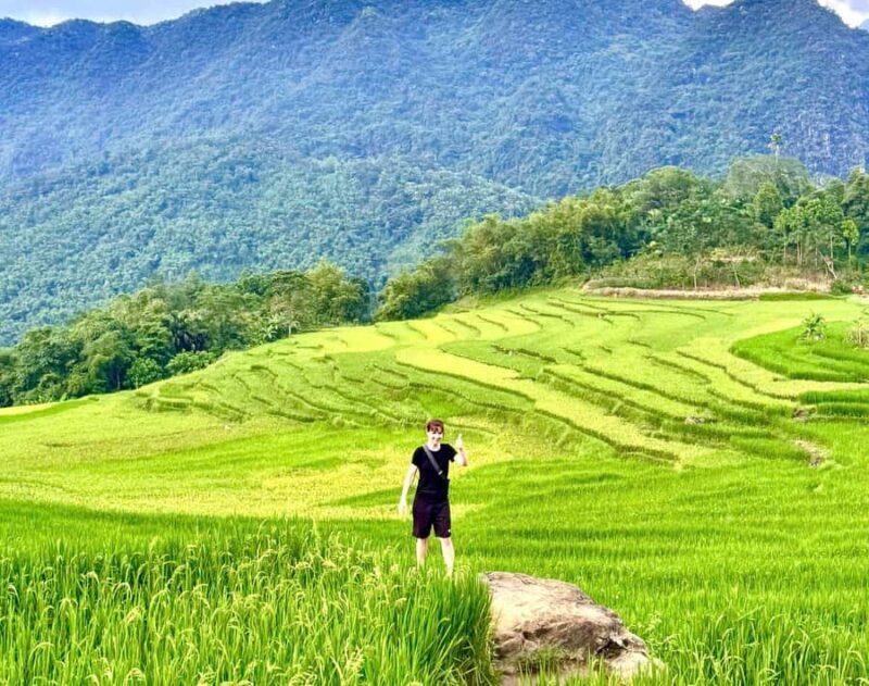 From Pu Luong: Half-Day Trekking Nature & Cultural Discovery - Who Should Consider This Tour?