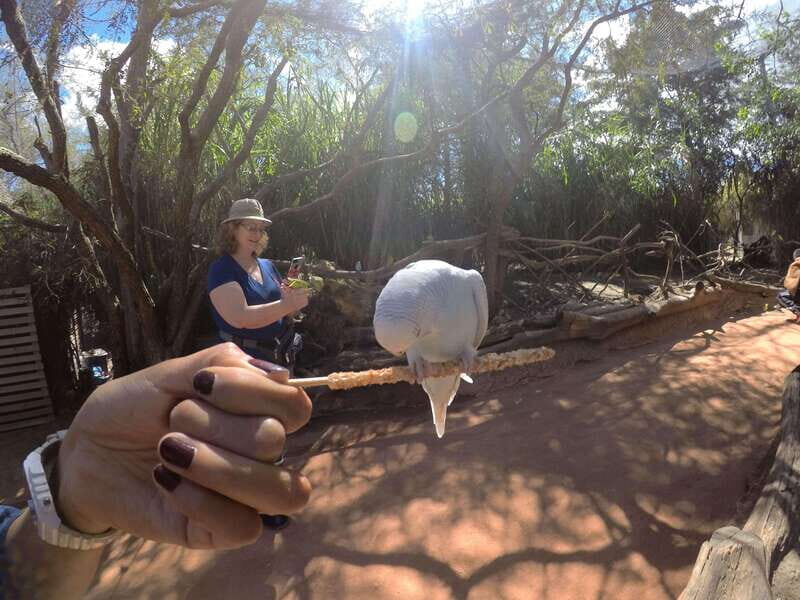 From Puebla: Africam Safari Private Tour all included - Authentic Experiences and Practical Insights