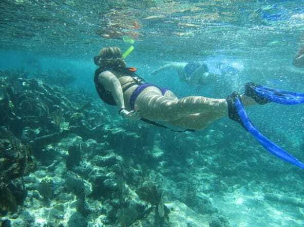From Puerto Aventuras: Share Catamaran Tour - Final Thoughts